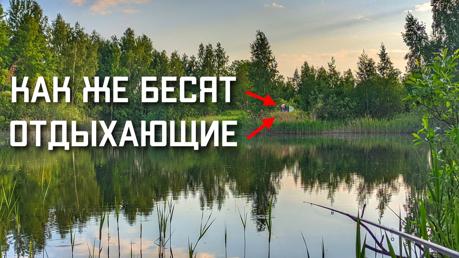Вечерние карасики