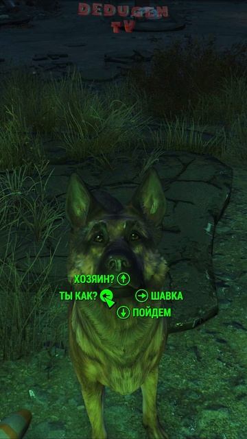 Собакен. Fallout 4. #shorts #fallout