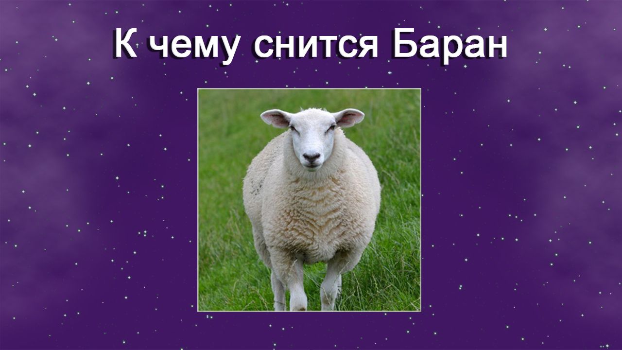 К чему снится Баран - толкование сна