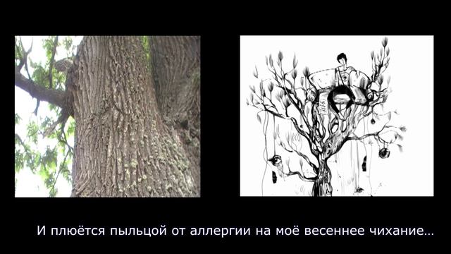 Видеопоэзия