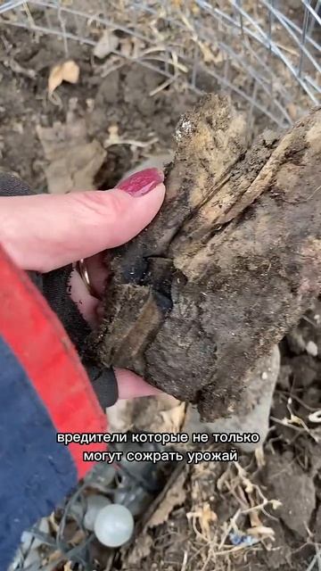 Кокосовая дорожка лучше картона