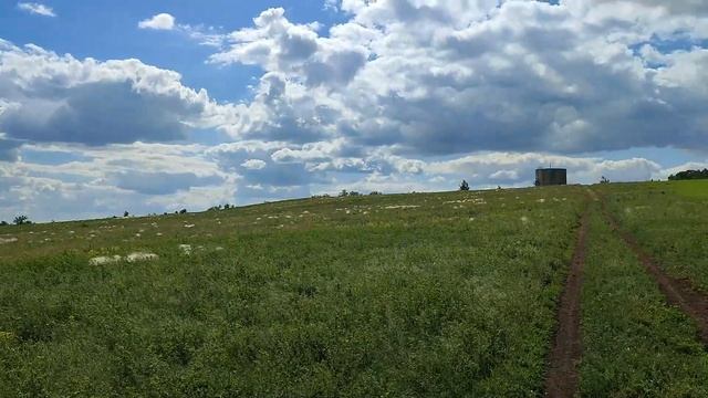 3.06.2026 свежая видеопрогулка по Котово от Фомы