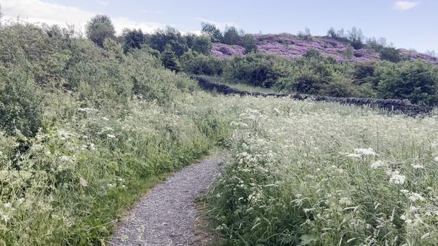 Beacon Hill 1