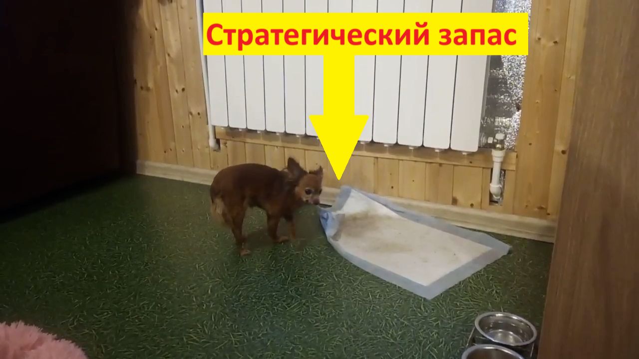 Стратегический запас