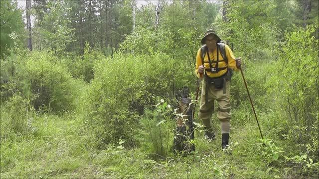 Поход по Молоковскому тракту к пионерским лагерям.