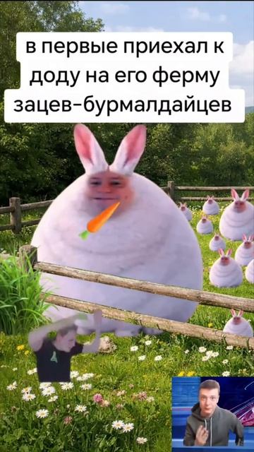 мемы