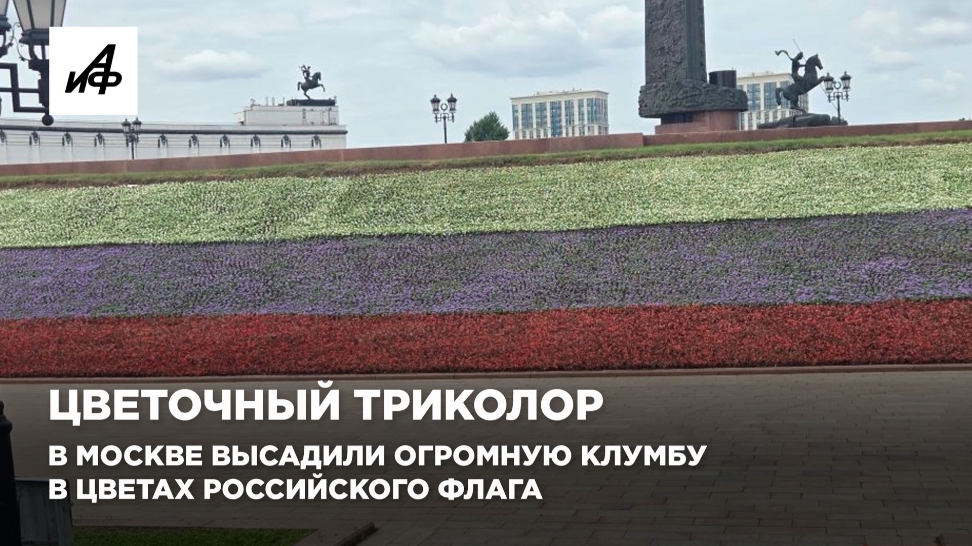 Цветочный триколор. В Москве высадили огромную клумбу в цветах российского флага
