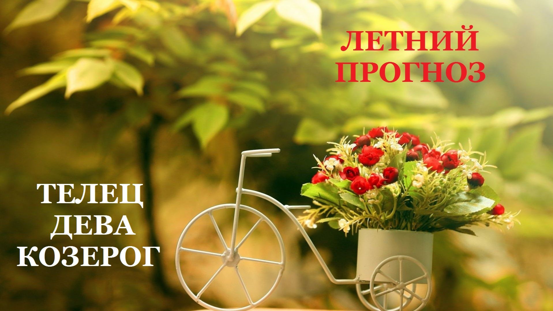 ЛЕТНИЙ ПРОГНОЗ ДЛЯ ЗНАКОВ ЗЕМЛИ