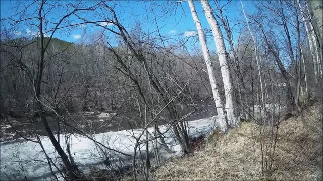 Поход по майской Никишихе.