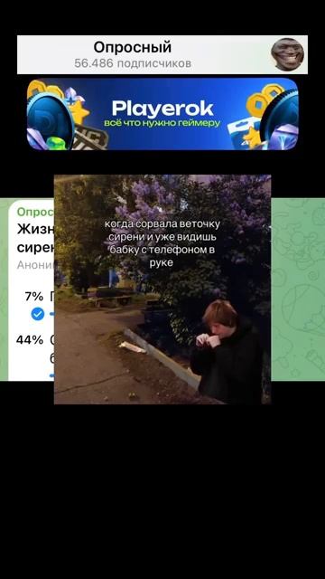 Жизненная ситуация с сиренью