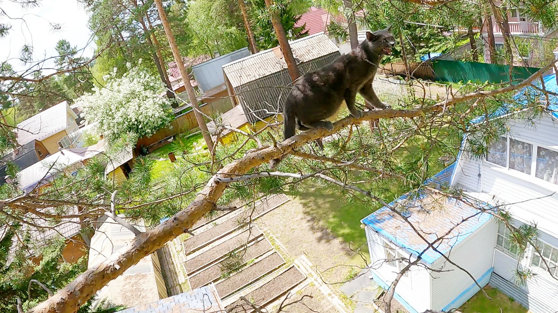 Сёмочка повторно