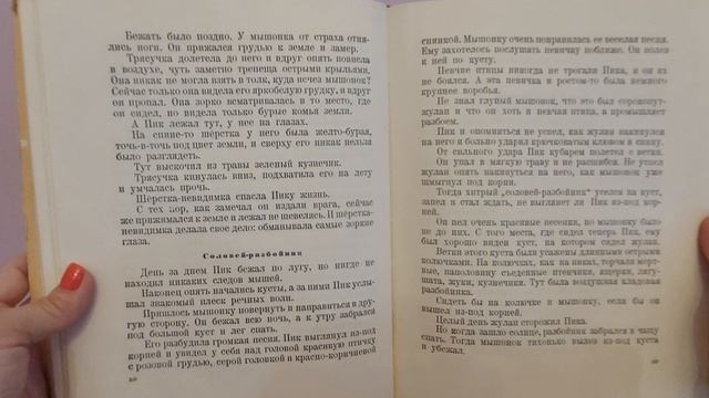 В.Бианки. Мышонок Пик. Часть 2.