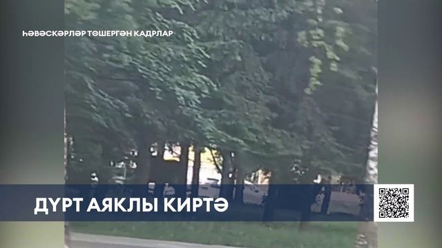 Узган атнада Түбән Кама районында кыргый хайваннар катнашында 3 юл-транспорт һәлакәте теркәлгән