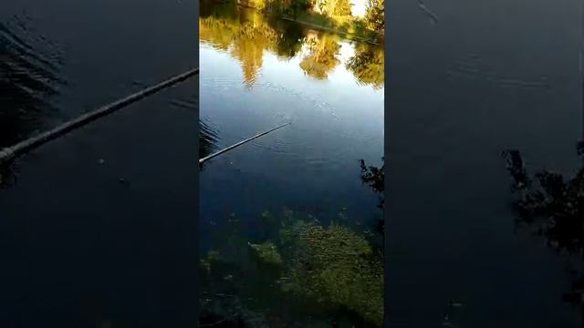 Рыбачим 2