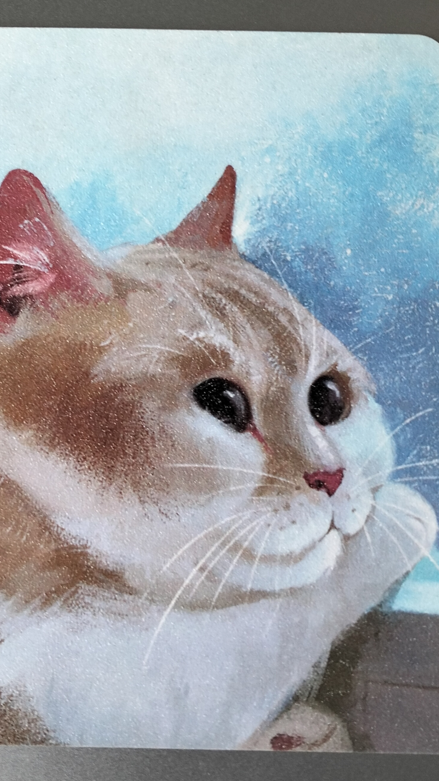 Пухлый котик из Казахстана. Пухляк.