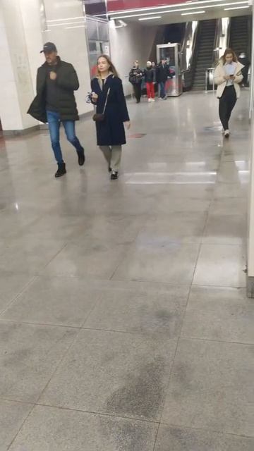 Yakhromskaya metro station, Moscow - interior view, arrival and departure of the train Fragment 20