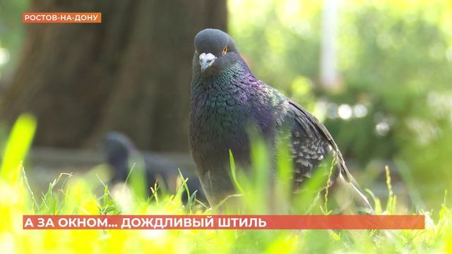 А за окном. 4 июня 2026