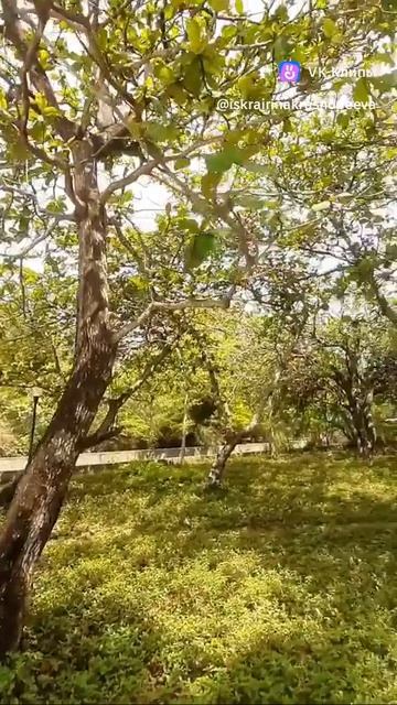 04-06-2026Хайнань.Санья