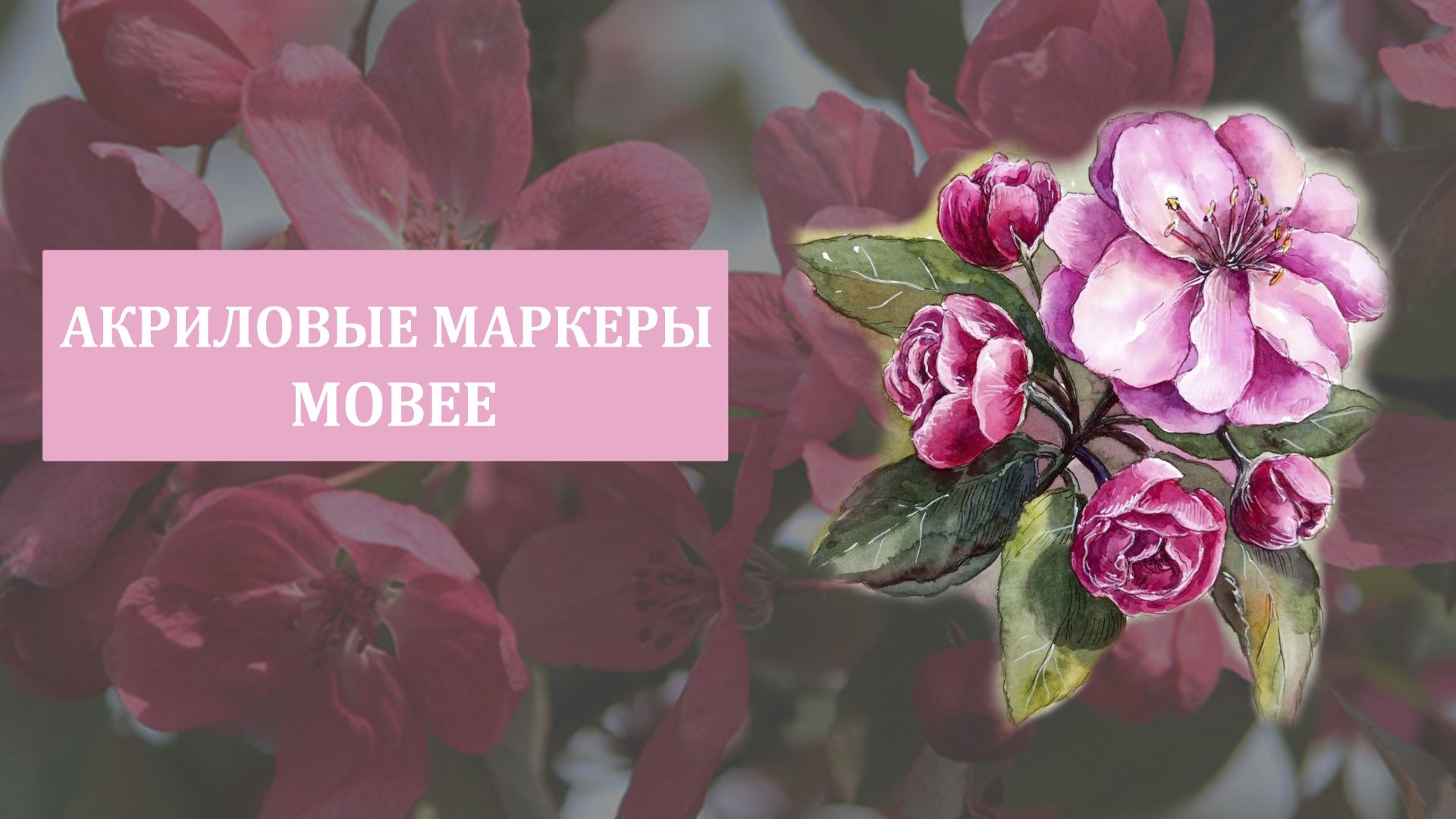 Декоративная яблоня. Акварель ColorCraft