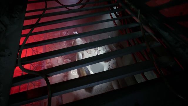 Трейлер The Lost Wild (геймплей)