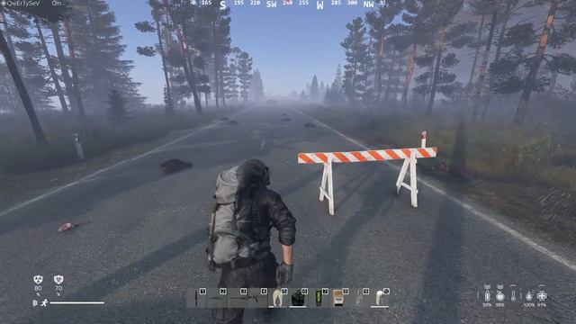 DayZ Lite PVE. I Honda NSX & Co | #dayz #dayzlitepve #qwertysev