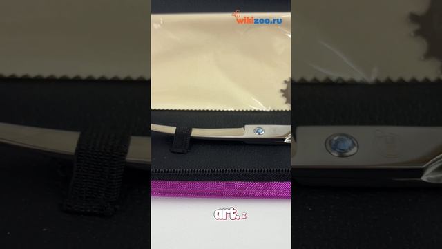 Стартовые ножницы для груминга для новичков