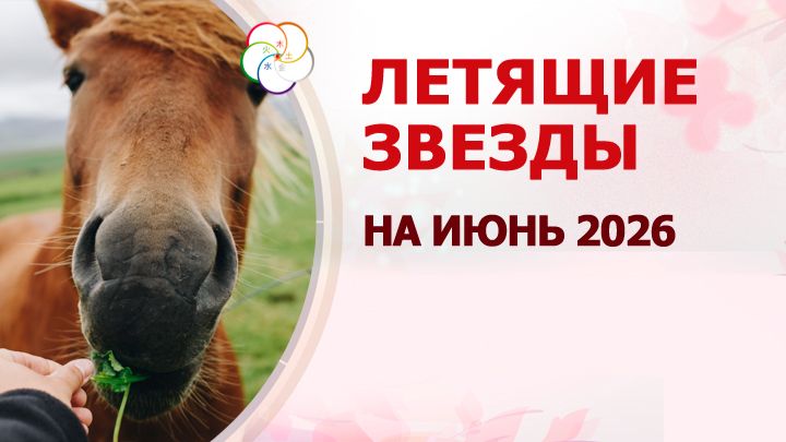 ФЭН ШУЙ 2026 прогноз по летящим звездам на ИЮНЬ 2026