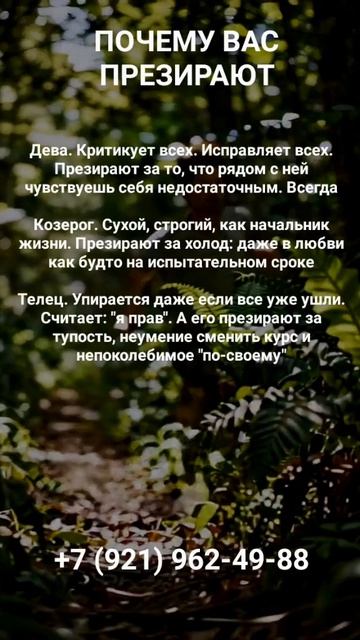ВАС ПРЕЗИРАЮТ #онлайн #гороскоп #shorts #светланаведа
