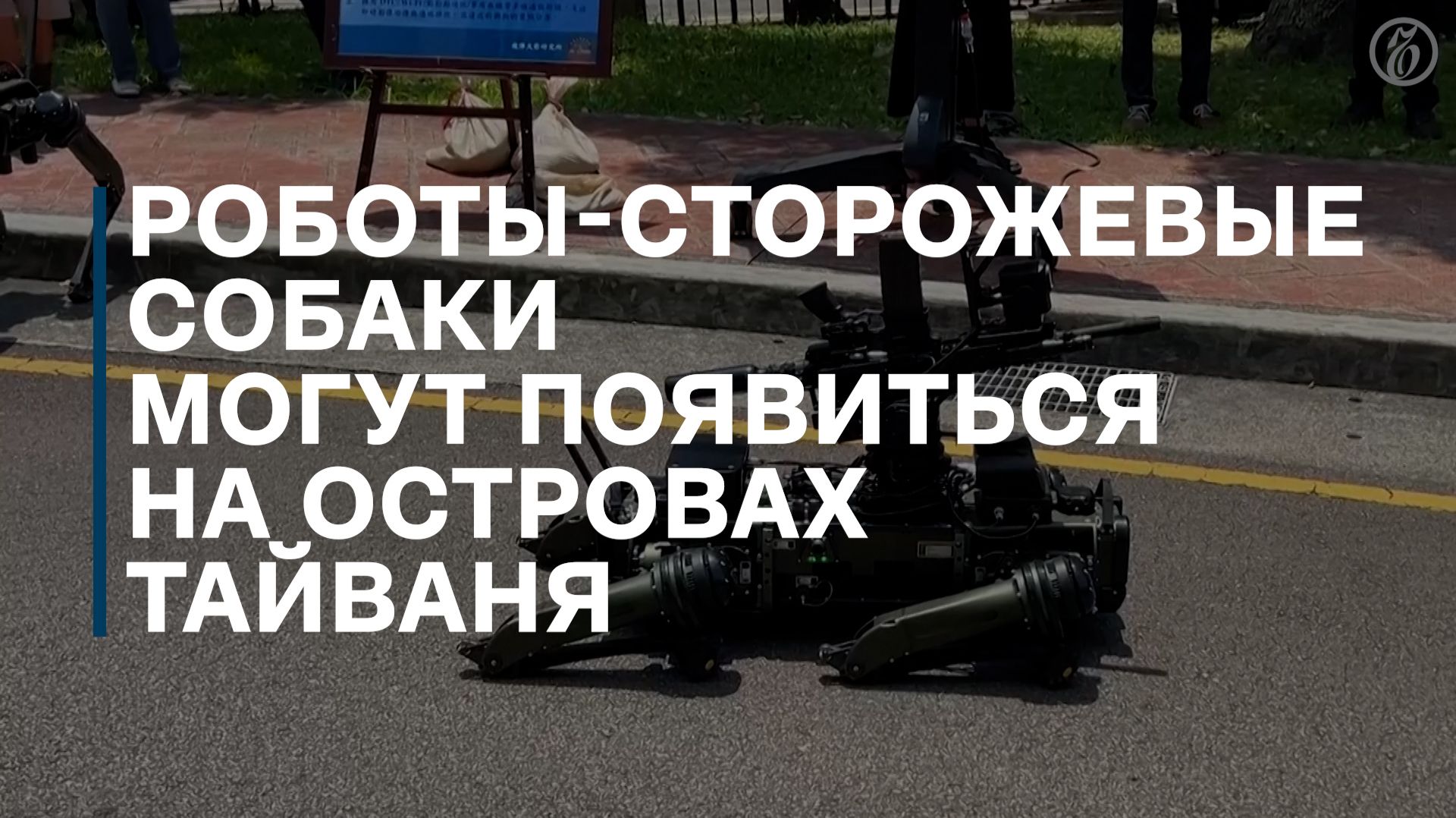 Роботы-сторожевые собаки могут появиться на островах Тайваня