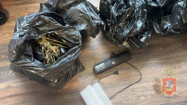 В г.о. Домодедово сотрудники наркоконтроля задержали иностранца, подозреваемого в сбыте наркотиков