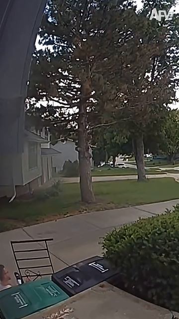 Security Cameras Catch Everything