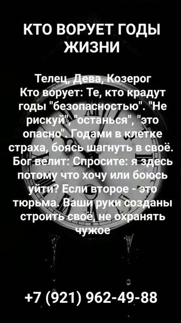 ВОР ЖИЗНИ #онлайн #гороскоп #shorts #светланаведа