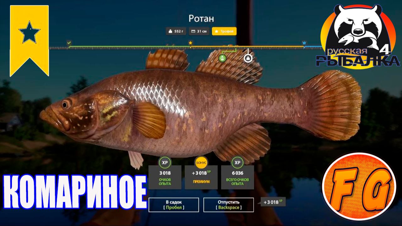 Трофеи Ротана на Комарином. Фарм серебра на Комарином озере. Русская рыбалка 4. Russian Fishing 4