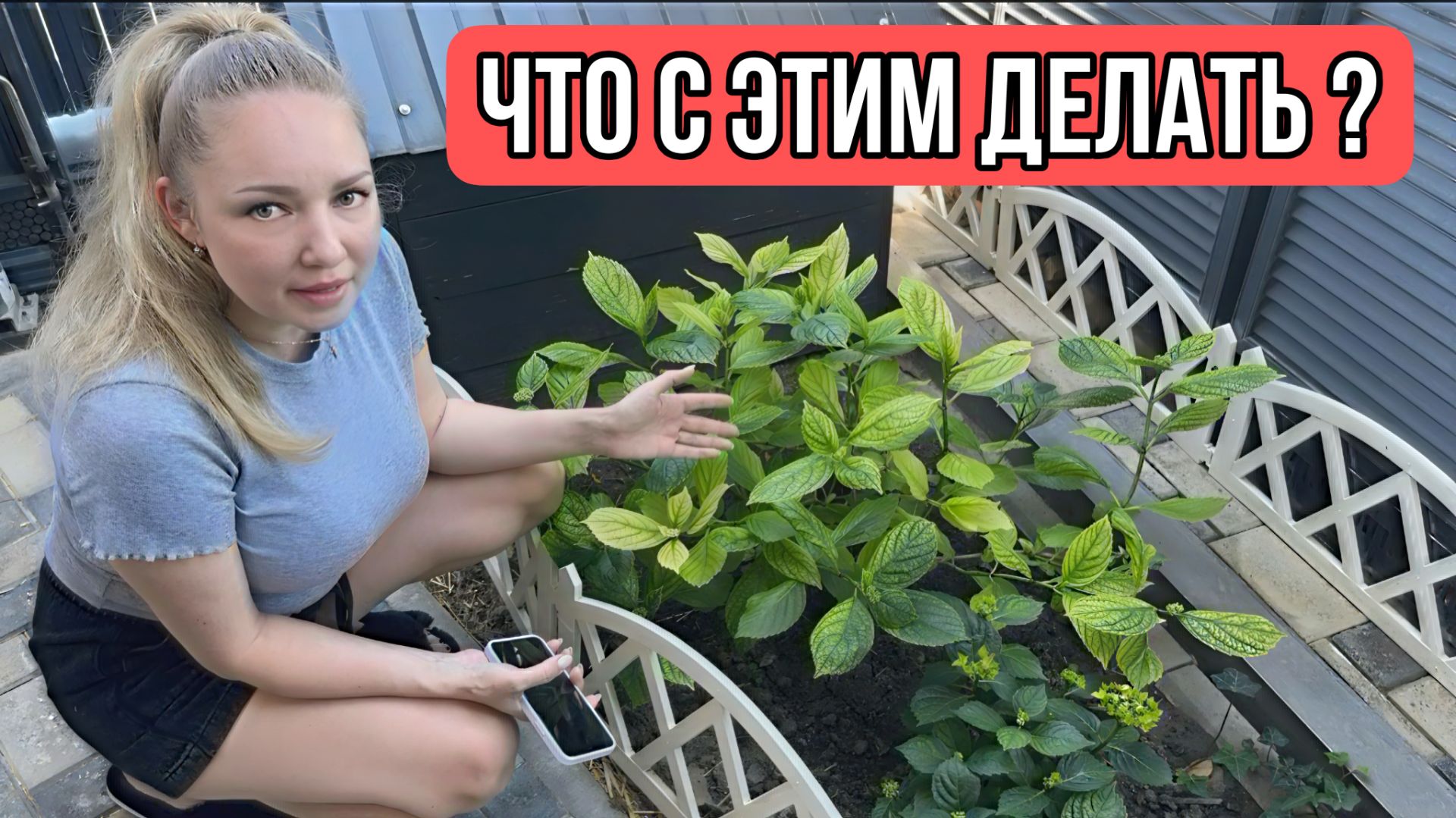 ВЛОГ ! Наши РОЗЫ !