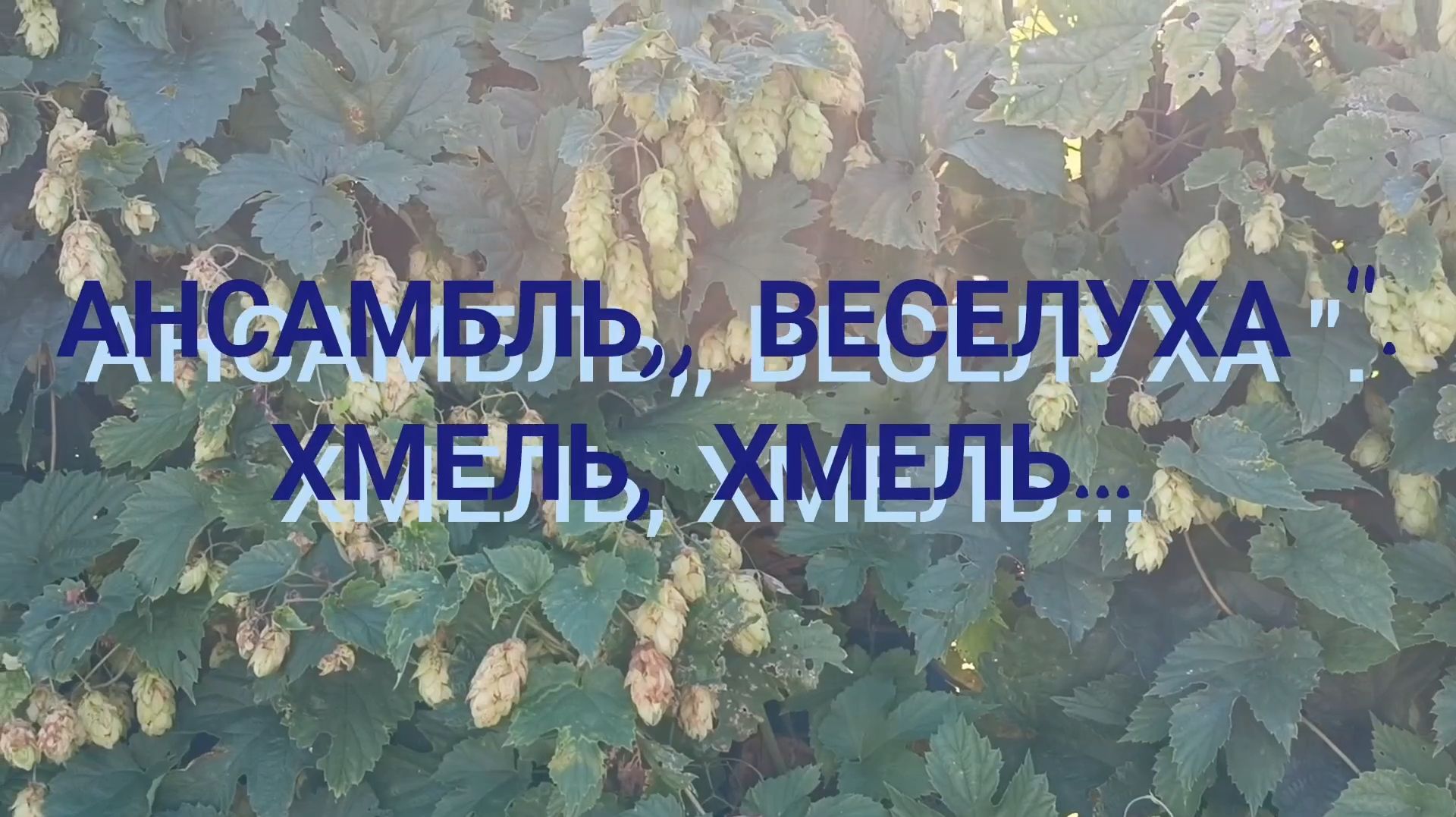 ХМЕЛЬ, ХМЕЛЬ, ХМЕЛЁК. АНСАМБЛЬ,, ВЕСЕЛУХА"