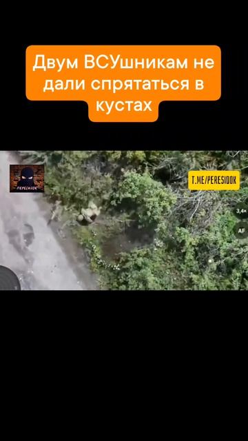 ВСУшникам помешали уеденится в кустиках
