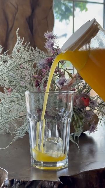 🍹Лимонад манго-маракуйя — это настоящий вкус лета в каждом глотке!