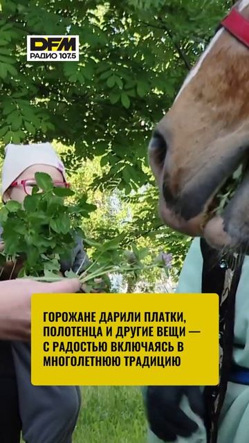 Сбор подарков на Сабантуй в Нижнекамске на повозке, запряжённой лошадью