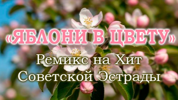 "ЯБЛОНИ В ЦВЕТУ" . РЕМИКС  Легендарного Хита  советской Эстрады💖🎼🎵💖