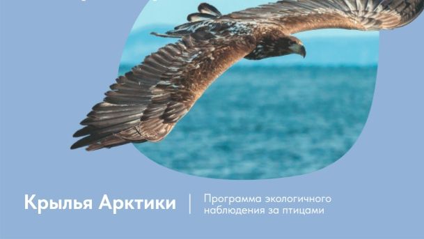 "Крылья Арктики": открытие смотровых площадок и Большой Арктический субботник