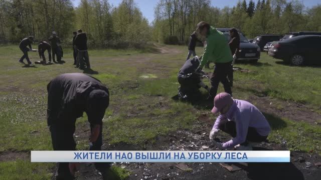 ЖИТЕЛИ НАО ВЫШЛИ НА УБОРКУ ЛЕСА