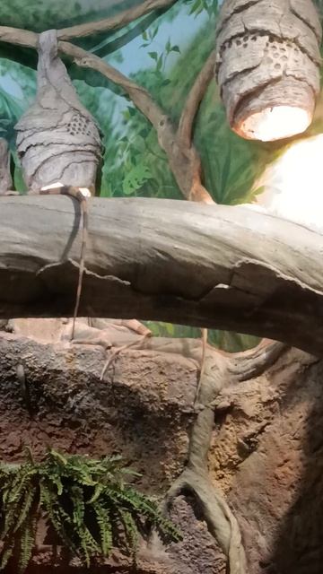 Воронежский океанариум