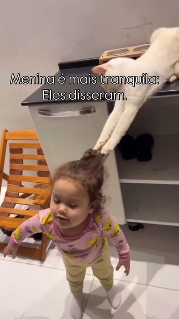 #cat #cute #catvideo #cutecat #funnyvideo #studywithmeandmycat #funny