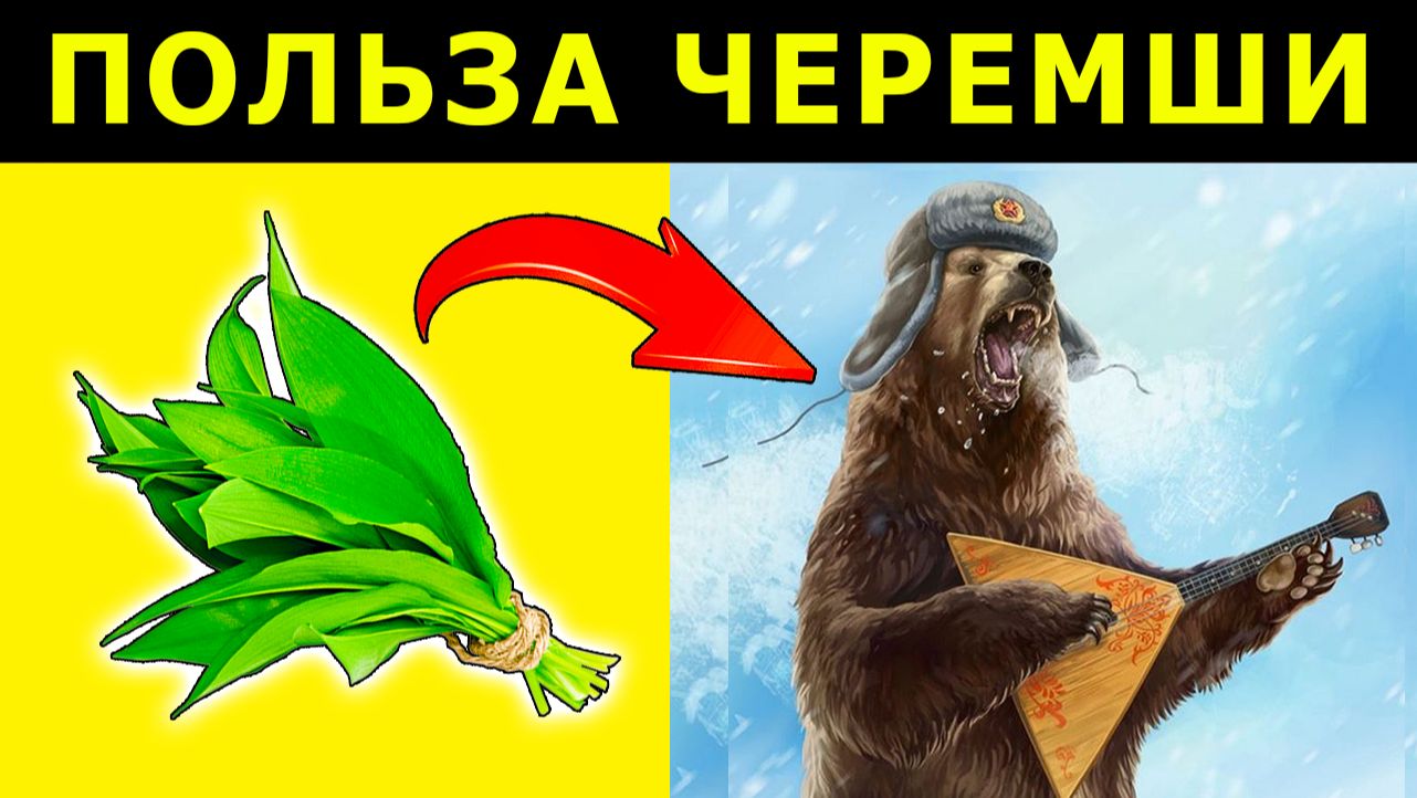 Черемша Польза и Вред