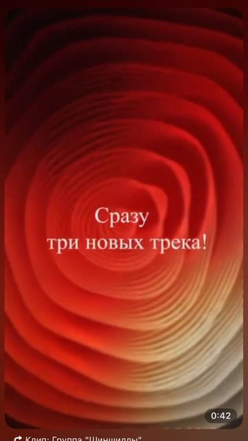 Слушаем на всех площадках! #шиншиллы