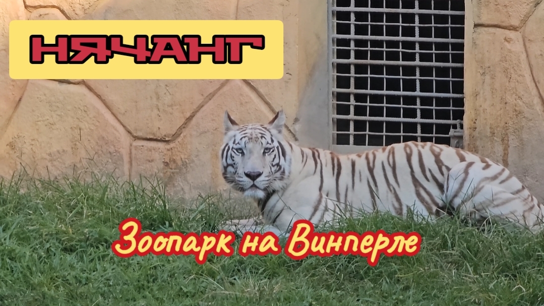 Зоопарк на Винперле, Нячанг, Вьетнам