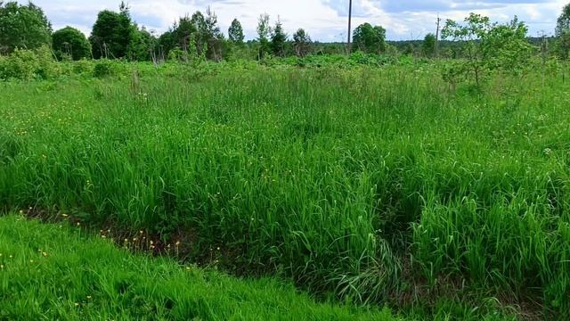 Заброшенные дома, промобъекты и др