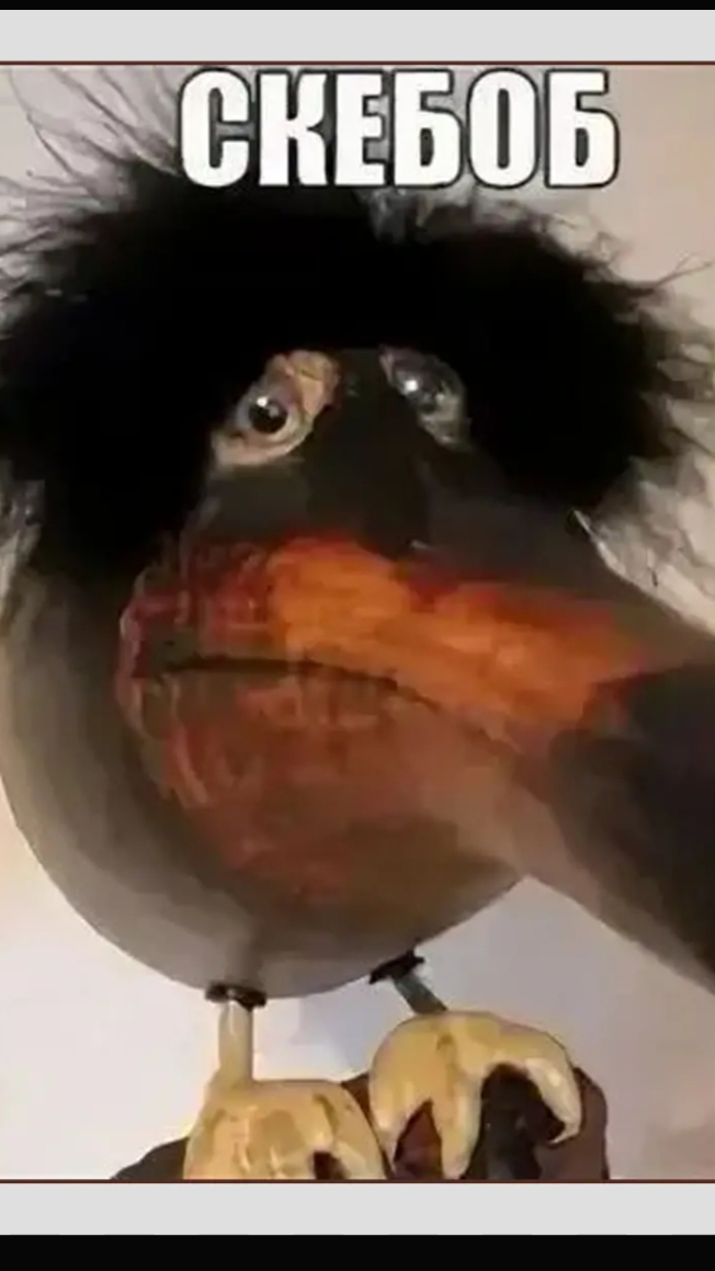 Шутка