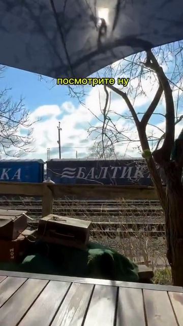 Вид на Балтику