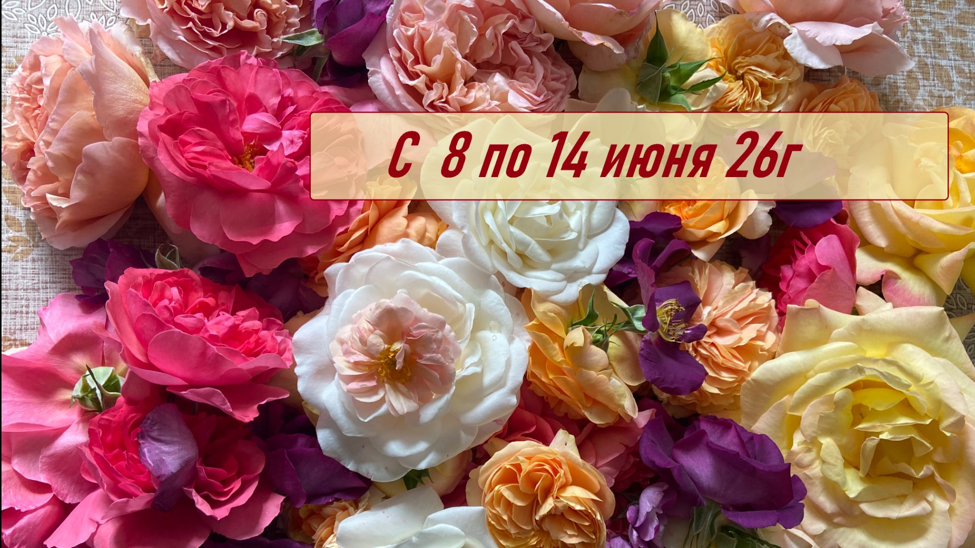 Прогноз с 8 по 14 июня  26г